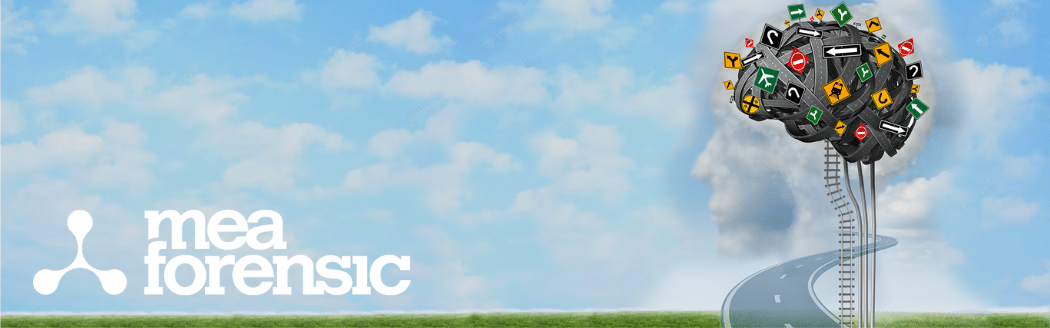 Human Factors and Transportation Investigations Webinar - MEA Forensic